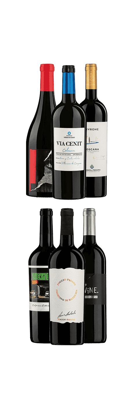 Tasting Box Selektion Wein des Jahres | Mövenpick Wein Shop