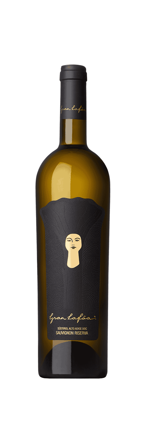 Sauvignon Blanc Gran Lafóa | Mövenpick Wein Shop